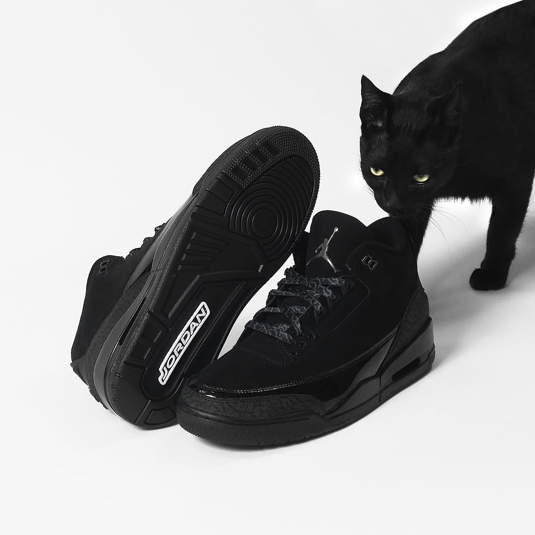 Air Jordan 3 - Sneak.fi